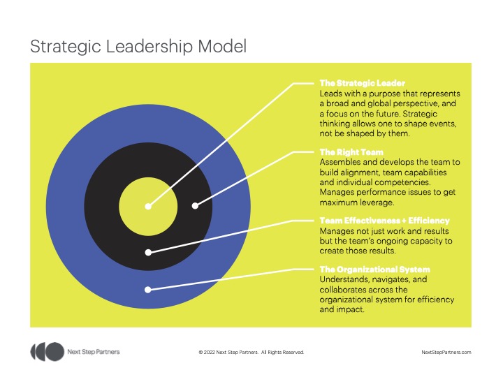 Four Habits of Strategic Leaders | Next Step Partners